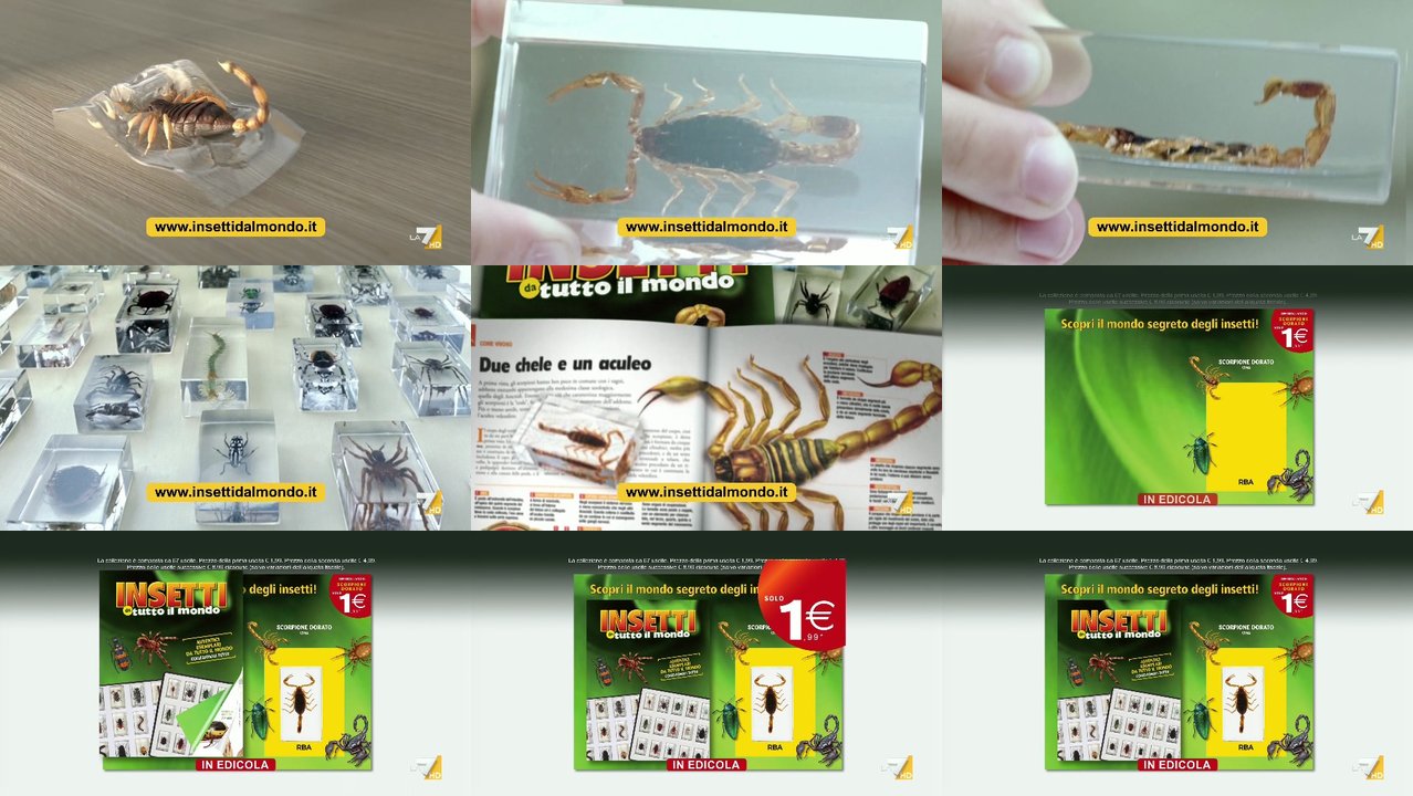 Spot TV: annunci TV di insetti da tutto il mondo degli ultimi 120 giorni